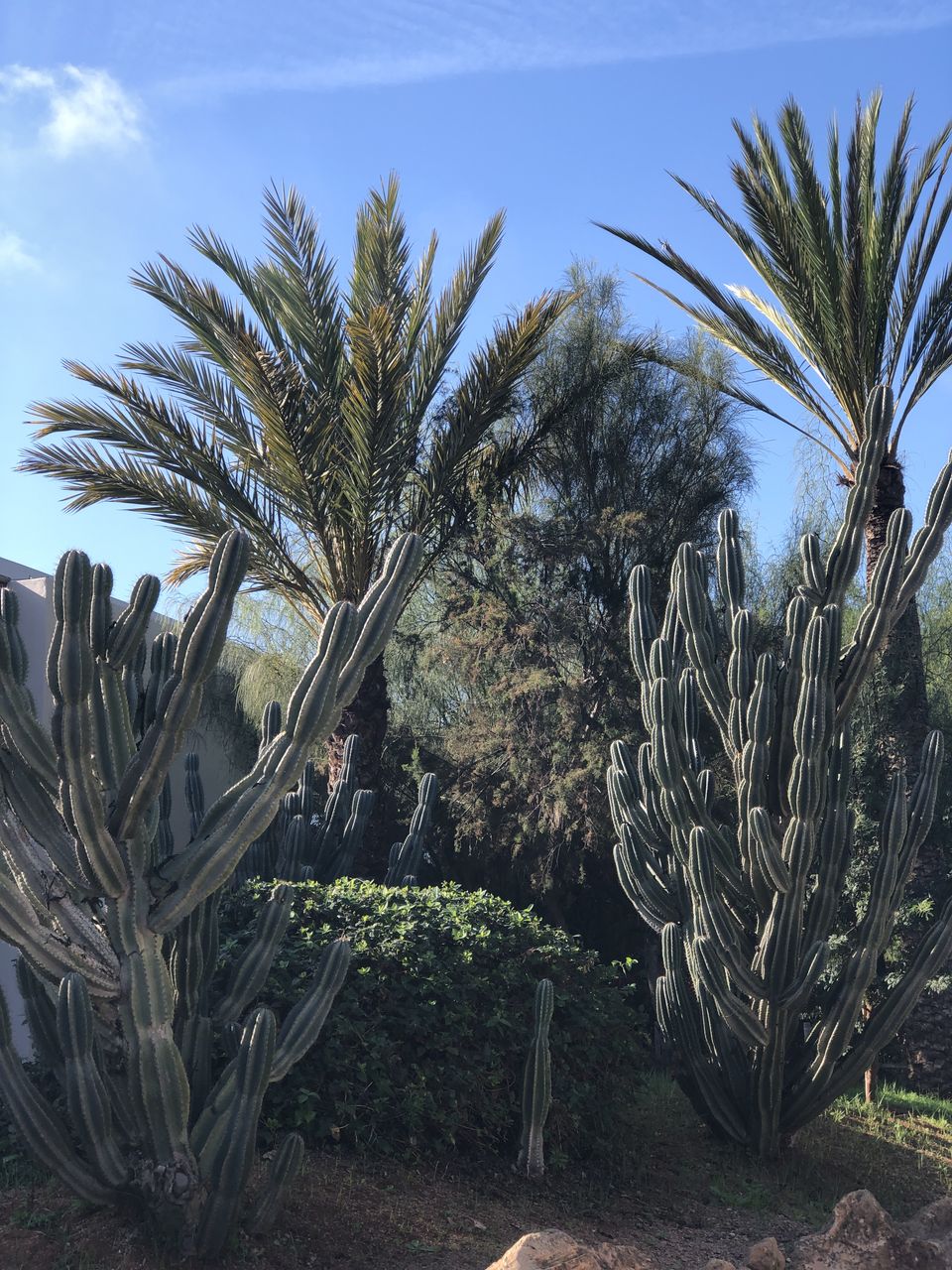 Rabat : 7 choses incontournables à faire - Lilytoutsourire